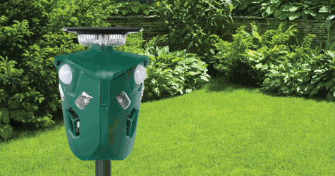 Keep birds away from ponds & pools