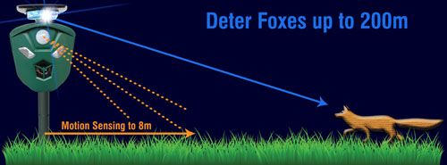 Ultrasonic Fox Lights